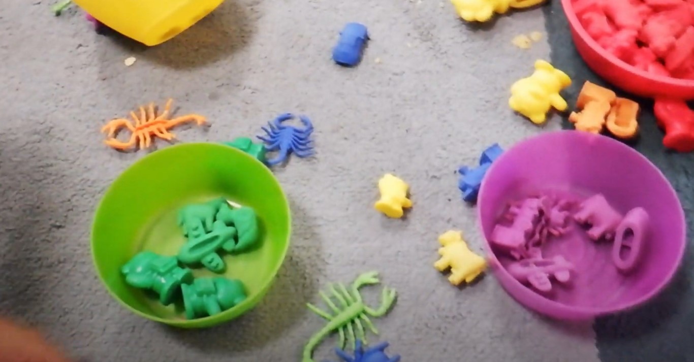 Video: Sorting with Compare Toys - Filton Avenue Nursery School and ...